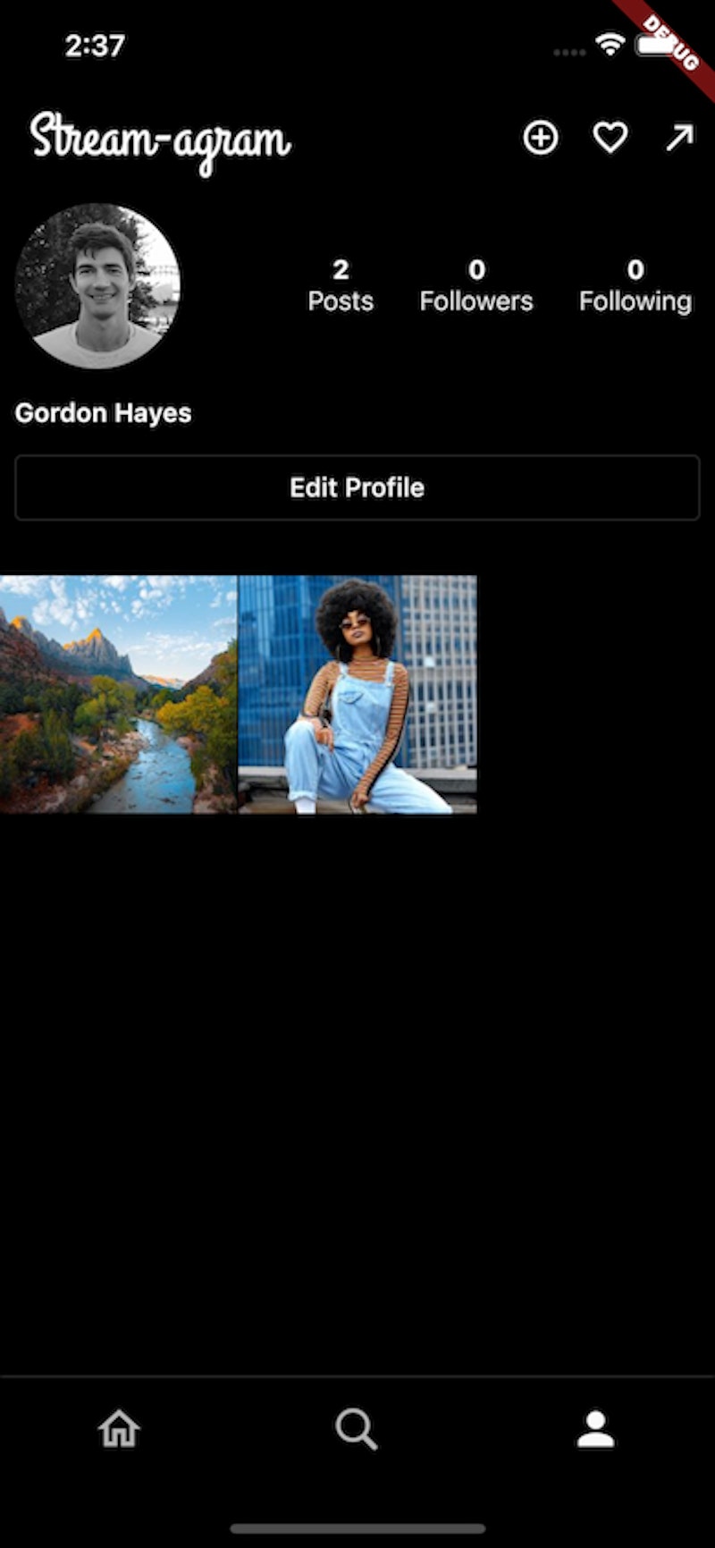 Coding an Instagram Clone With Flutter and Feeds