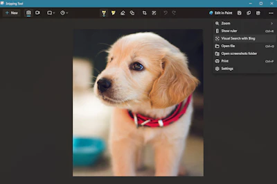 What Is Visual Search? Examples, Tools, and More
