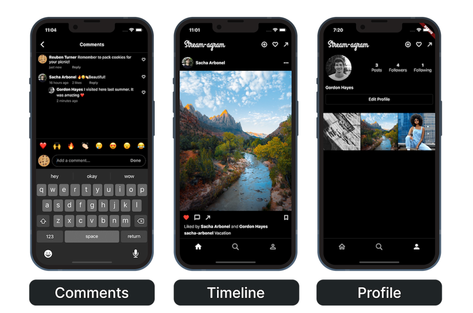 Coding an Instagram Clone With Flutter and Feeds