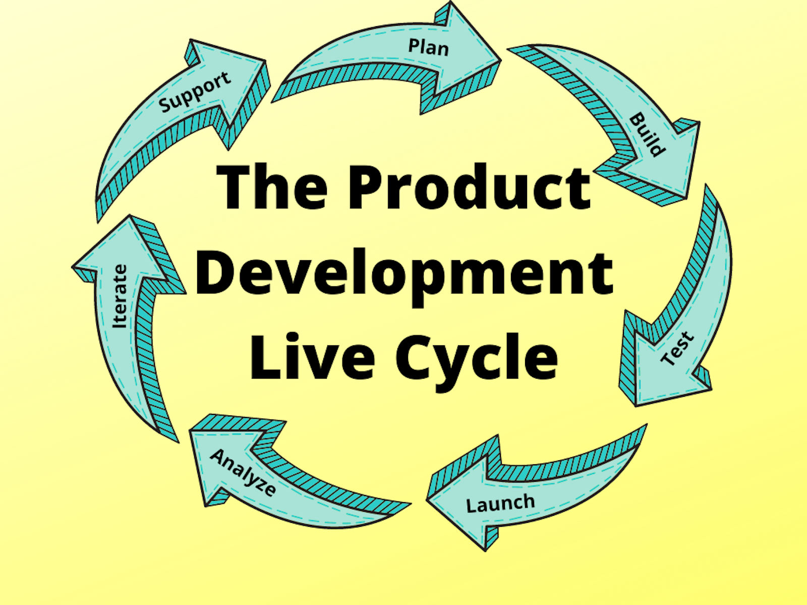 What Stages Make up the Product Development Life Cycle (And Why They ...
