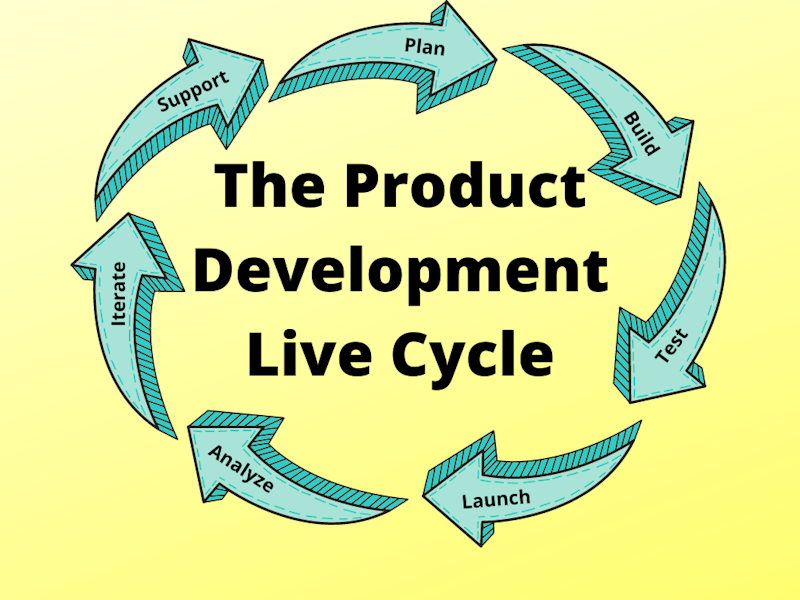 What Stages Make up the Product Development Life Cycle (And Why They ...