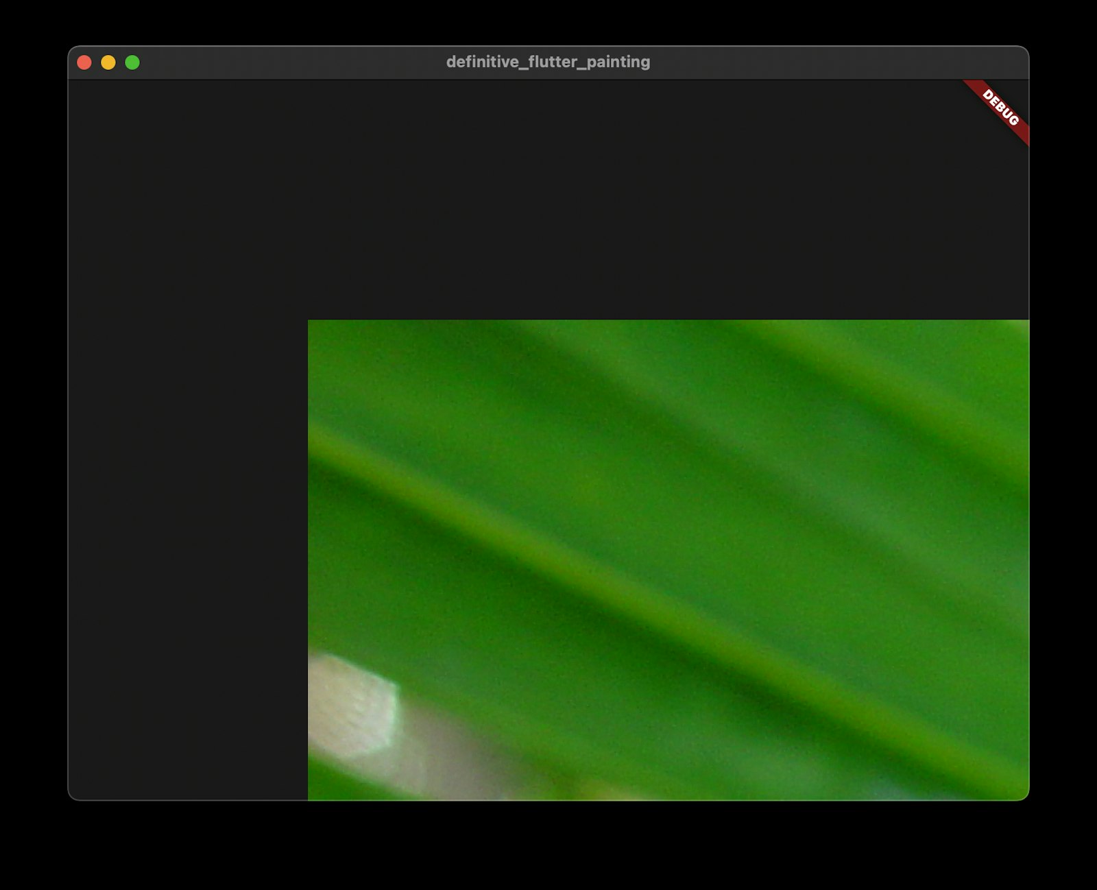 Definitive Flutter Painting Guide