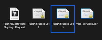 Using PushKit Notification - How To Show an Incoming Call on a Device