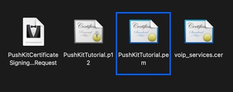Using PushKit Notification - How To Show an Incoming Call on a Device