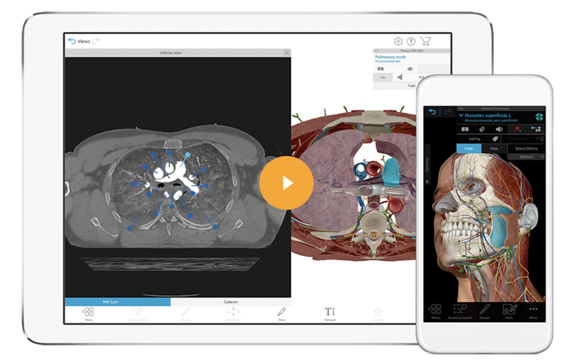 Education App Development 101: What to Consider When Building a Custom ...
