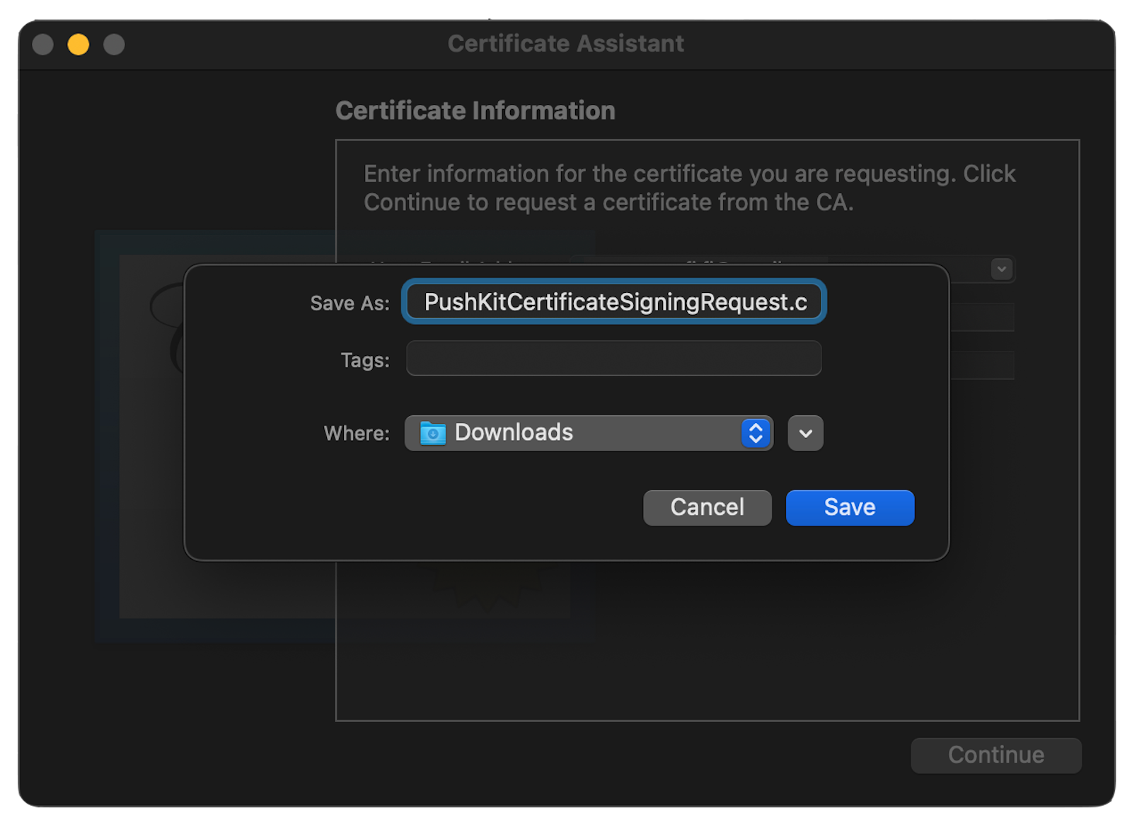 Using PushKit Notification - How To Show an Incoming Call on a Device